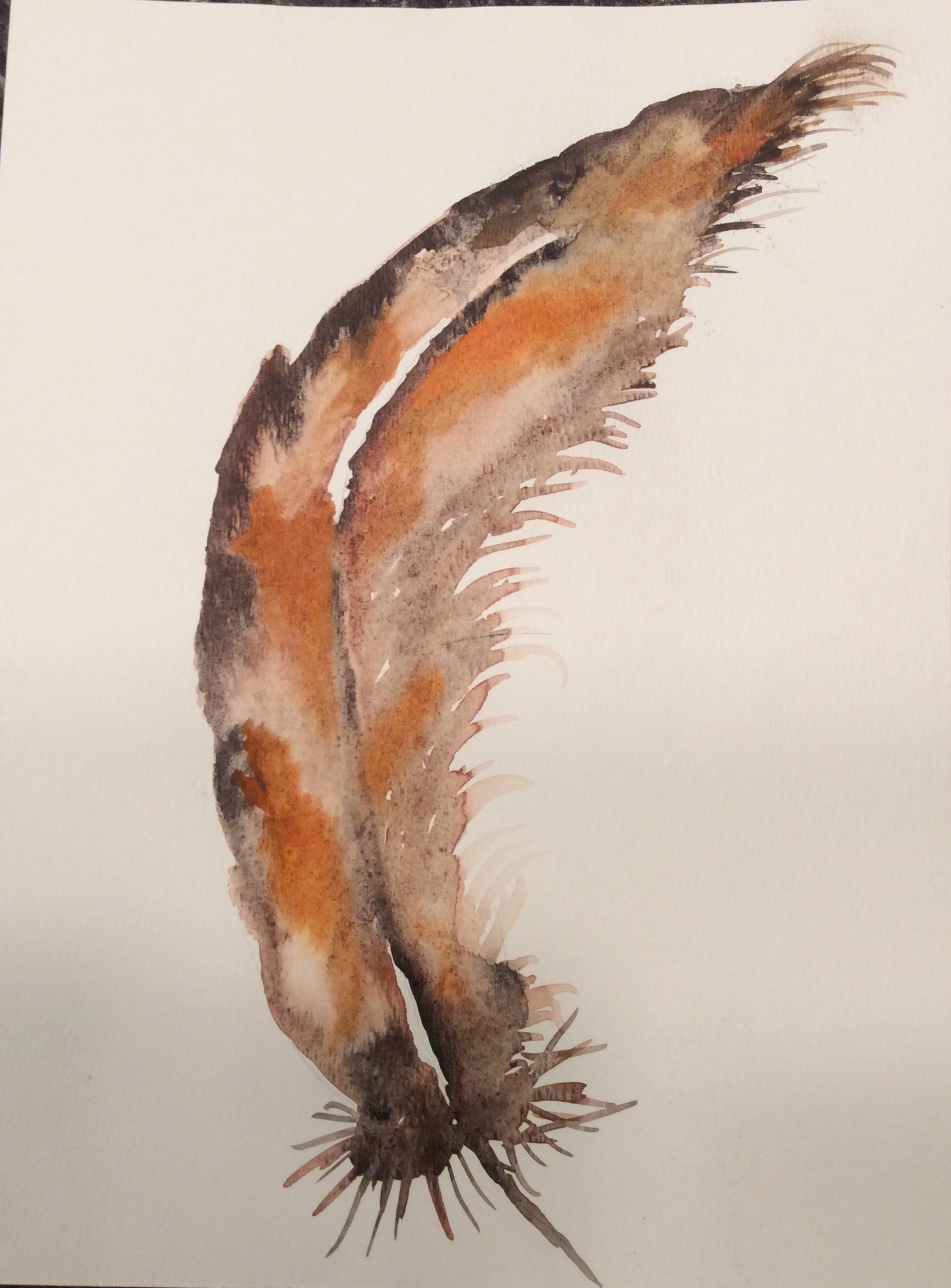 SPARK » Sue Gleason and Gena Stutzman